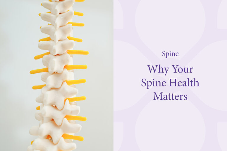 Your Spine: The Centre of Good Health - Kairos Chiropractic